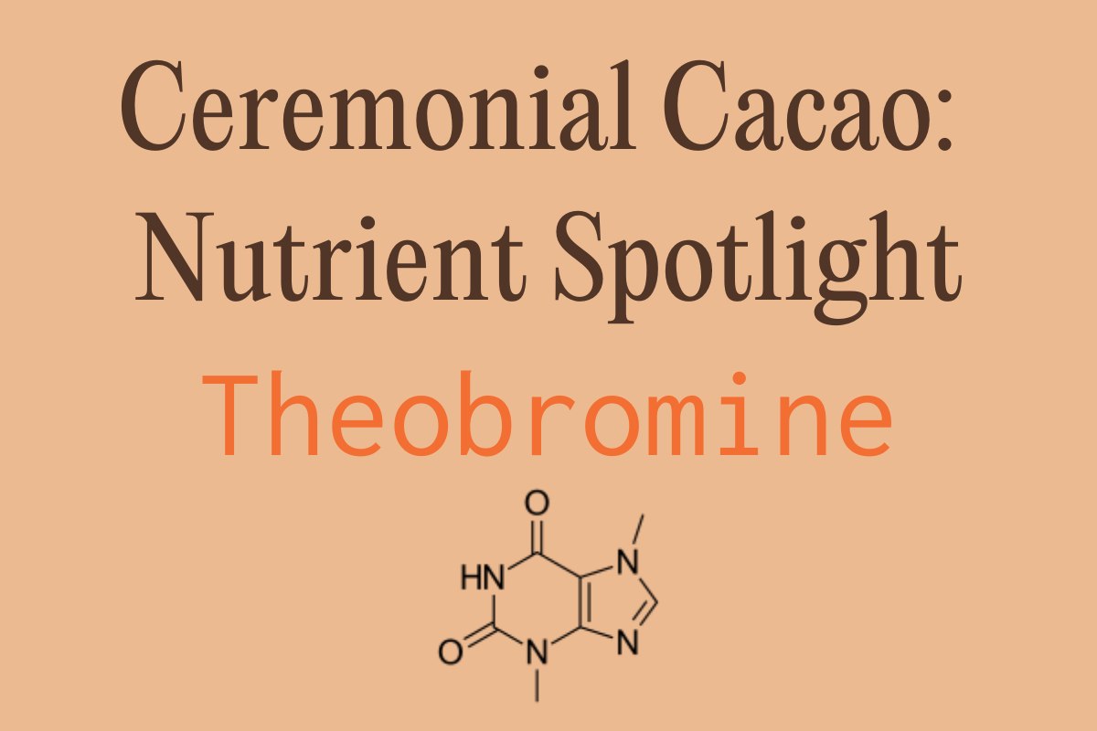 Nutrient Spotlight: Theobromine In Cacao – Embue Cacao inc.